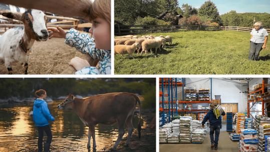 Guy's Farm & Yard | All Departments